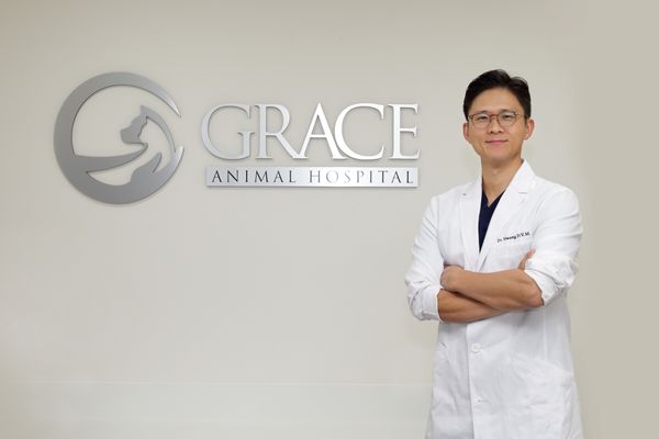 GRACE ANIMAL HOSPITAL - Updated December 2025 - 86 Photos & 82 Reviews ...