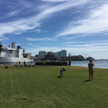 PETA’S BEA ARTHUR DOG PARK - Updated April 2024 - 55 Photos & 31 ...