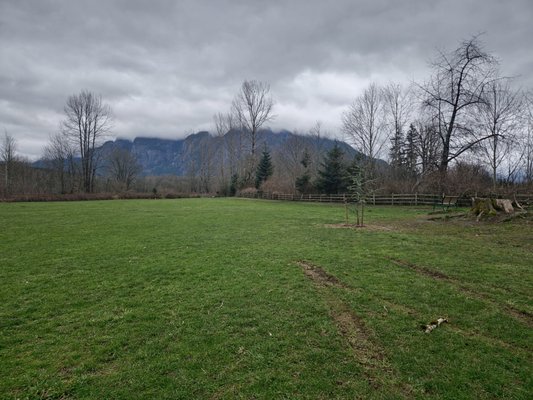 THREE FORKS DOG PARK - Updated December 2025 - 35 Photos & 23 Reviews ...