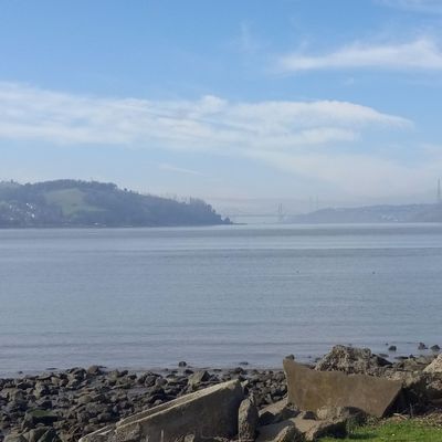 BENICIA PUBLIC PIER & BEACH - Updated October 2025 - 212 Photos & 39 ...