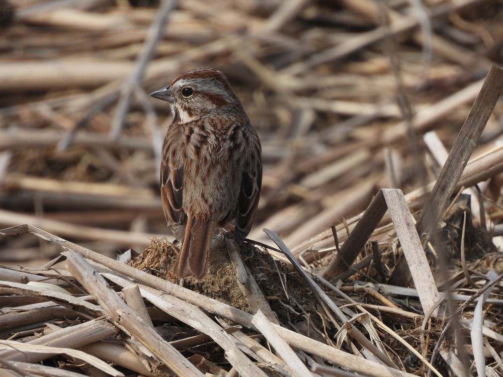 FERNALD PRESERVE - Updated July 2025 - 654 Photos & 10 Reviews - 7400 ...