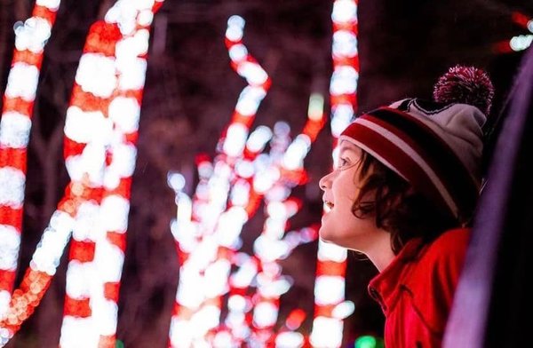 SHADY BROOK FARM - 628 Photos & 224 Reviews - 931 Stony Hill Rd ...