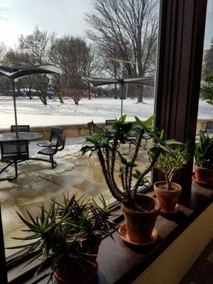 IRONDEQUOIT PUBLIC LIBRARY - Updated September 2025 - 33 Photos & 10 ...