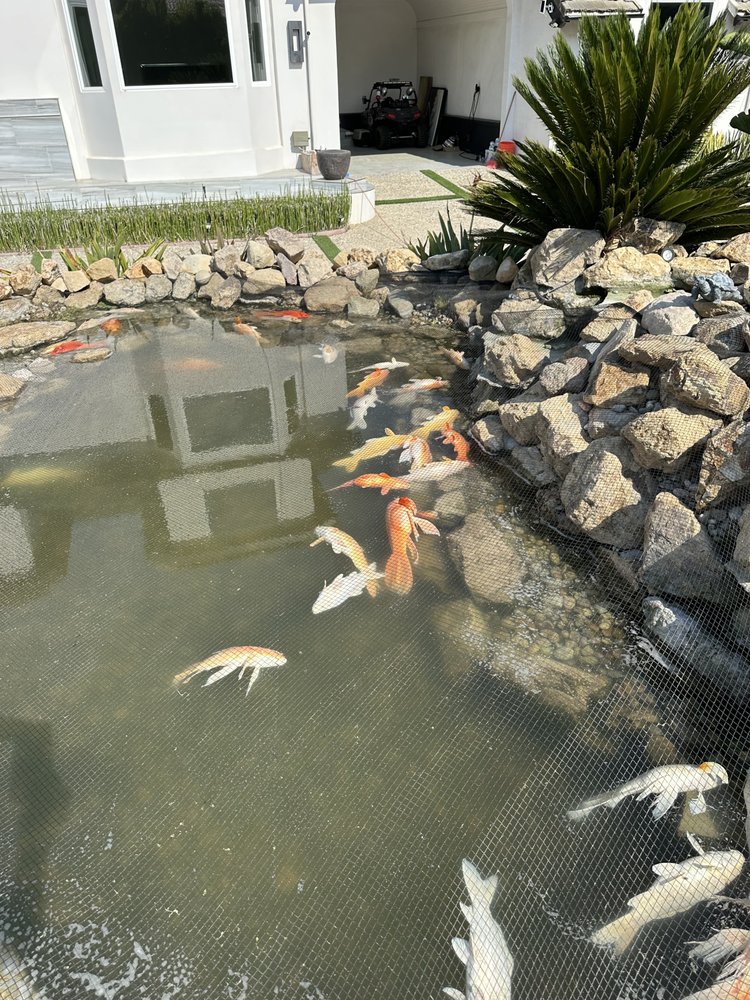 PACIFIC PONDS - Updated January 2026 - 35 Photos & 33 Reviews - 3959 ...