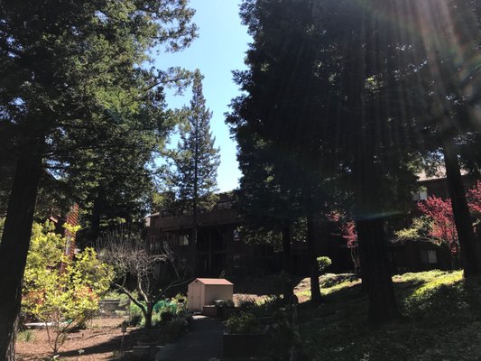 BROOKDALE SENIOR LIVING - CHANATE - Updated October 2025 - 19 Photos ...