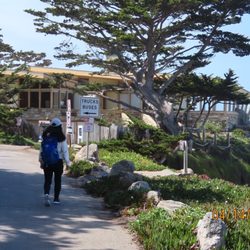 CLINTON WALKER HOUSE - FRANK LLOYD WRIGHT - 20 Photos - Landmarks ...