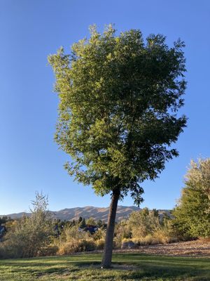 RAINBOW RIDGE PARK - Updated January 2025 - 21 Photos - 1355 Rainbow ...