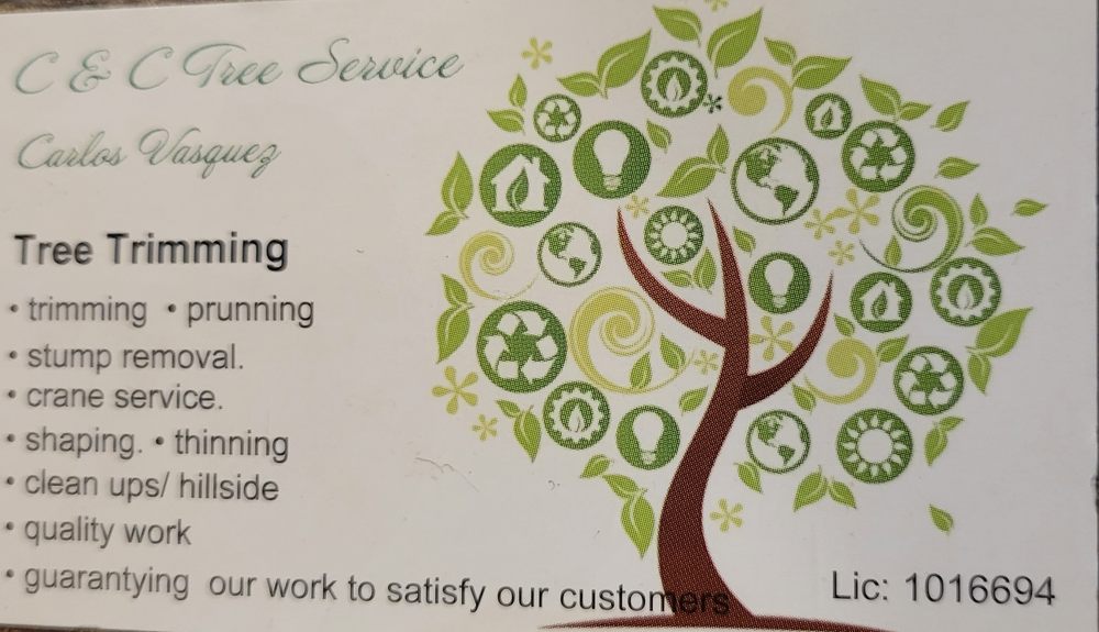 C & C TREE SERVICE - Updated May 2024 - Request a Quote - Winnetka ...