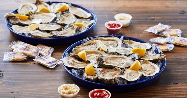 BIG SHUCKS OYSTER BAR - Updated March 2025 - 253 Photos & 326 Reviews ...