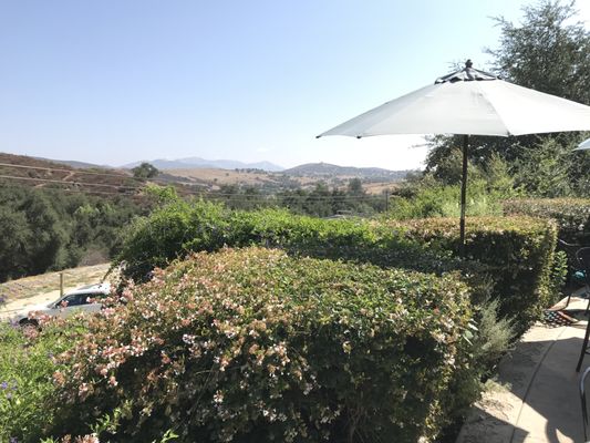 RAMONA RANCH VINEYARD AND WINERY - 90 Photos & 43 Reviews - Ramona ...