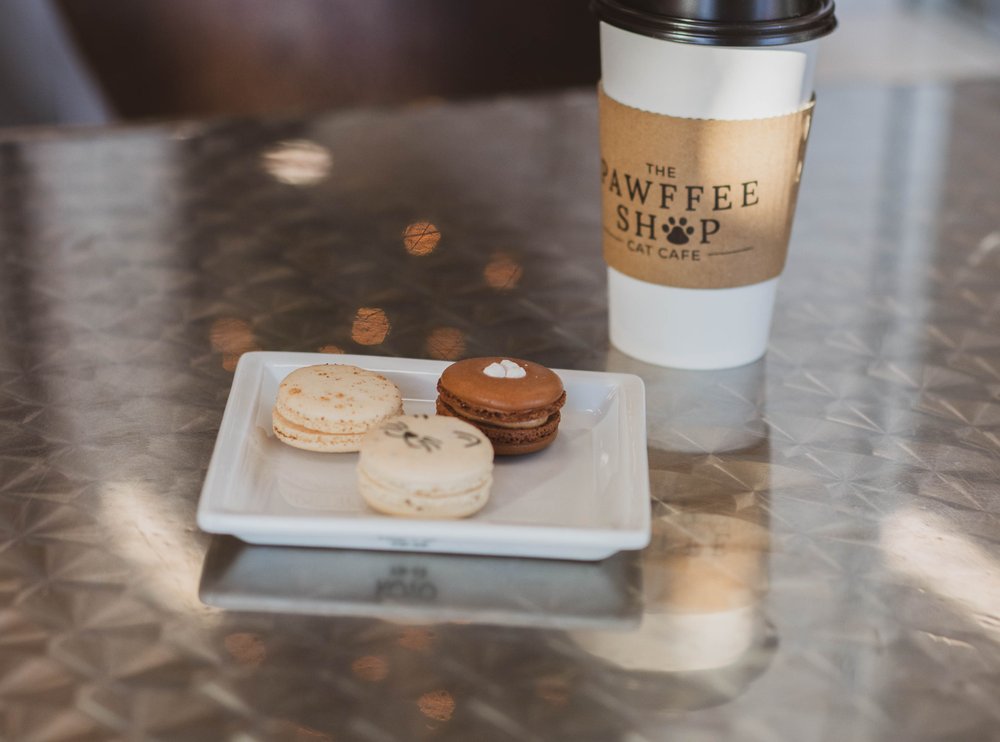 THE PAWFFEE SHOP CAT CAFE - Updated December 2025 - 33 Photos & 16 ...