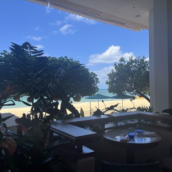 HAU TREE - Updated June 2024 - 2234 Photos & 689 Reviews - 2863 ...