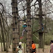 TRINITY FOREST ADVENTURE PARK - 137 Photos & 65 Reviews - Challenge ...