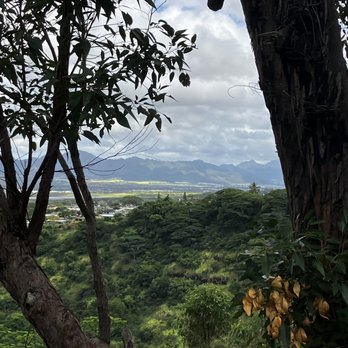 WAIMANO LOOP TRAIL - Updated January 2026 - 451 Photos & 90 Reviews ...