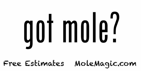 MOLE MAGIC - Updated October 2025 - Federal Way, Washington - Pest ...