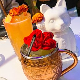 DARLING AVIARY - 607 Photos & 381 Reviews - 712 K St, Sacramento ...