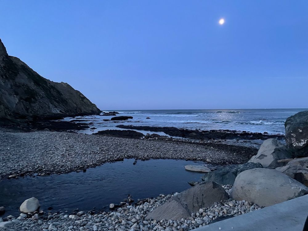 ARENA COVE - Updated December 2025 - 10 Photos - 790 Port Rd, Point ...