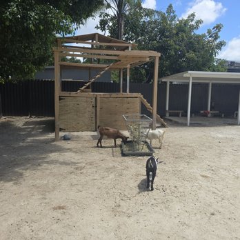 PINTO’S FARM - Updated January 2025 - 514 Photos & 173 Reviews - 14890 ...