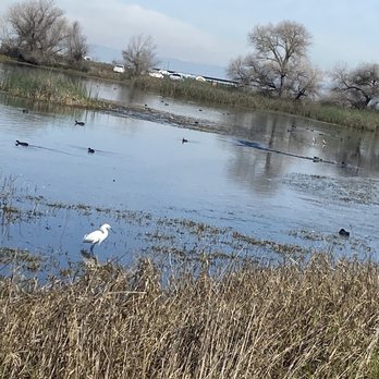 MERCED NATIONAL WILDLIFE REFUGE - Updated November 2025 - 119 Photos ...