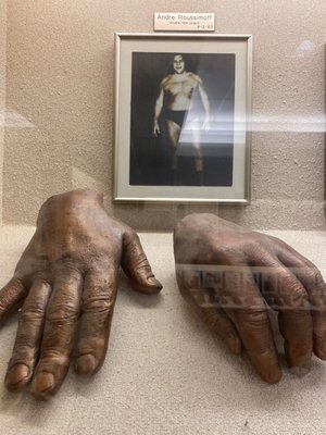 BAYLOR UNIVERSITY MEDICAL CENTER - Updated December 2025 - 88 Photos ...