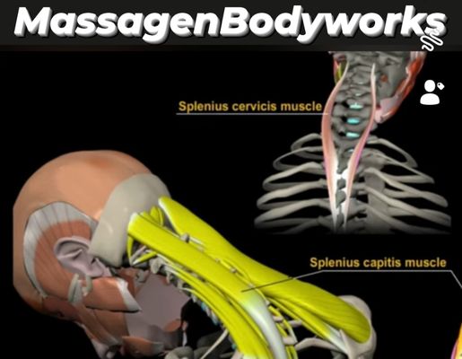 MASSAGEN BODYWORKS - Updated October 2025 - 1400 Battleground Ave ...