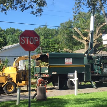 SUNRISE TREE SERVICE - Updated December 2025 - 16 Photos & 16 Reviews ...