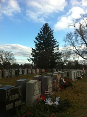 SS. PETER AND PAUL CEMETERY - Updated October 2025 - 15 Photos & 30 ...