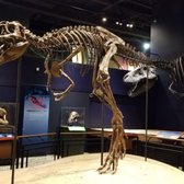 Burpee Museum of Natural History - 37 Photos & 20 Reviews - Museums ...