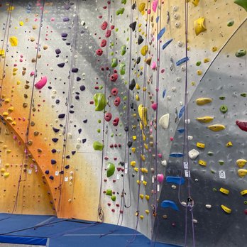 MOVEMENT LIC - Updated September 2025 - 683 Photos & 202 Reviews - 11 ...