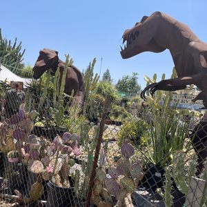 CALIFORNIA CACTUS RANCH - 292 Photos & 76 Reviews - Nurseries ...