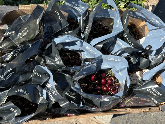 PEDRICK PRODUCE - Updated April 2025 - 1175 Photos & 598 Reviews - 6850 ...