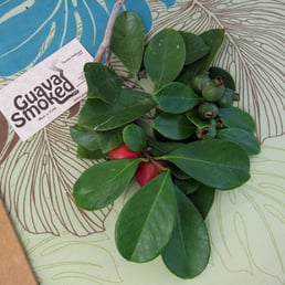 GUAVA SMOKED - Updated July 2024 - 582 Photos & 324 Reviews - 1637 ...