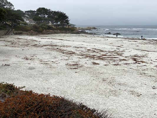 CLINTON WALKER HOUSE - FRANK LLOYD WRIGHT - Updated September 2025 - 31 ...