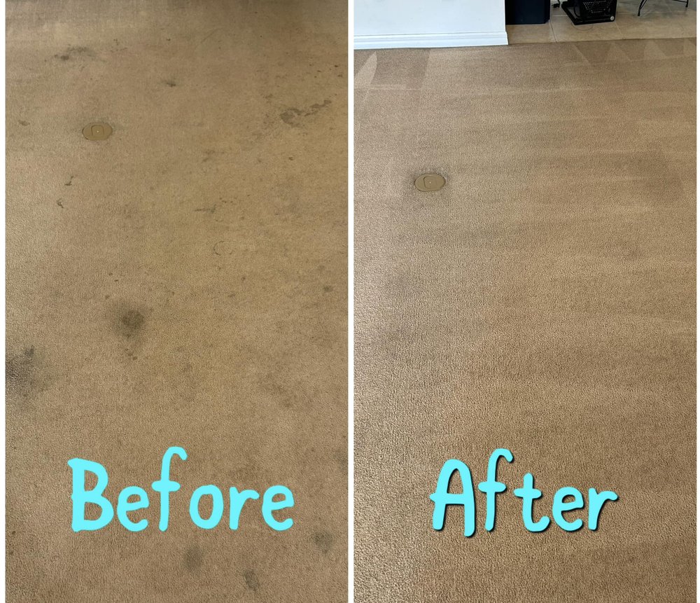 AMERICAN INTERIOR CLEANING SOLUTIONS - Updated May 2024 - Ocala ...