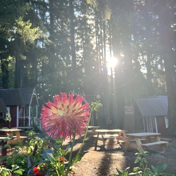 BRODER SÖDER - Updated December 2025 - 1303 Photos & 635 Reviews - 8800 ...