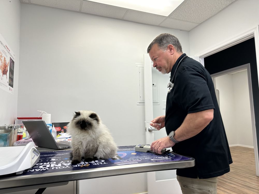 ACORN VETERINARY CLINIC - Updated December 2025 - 23 Photos & 84 ...