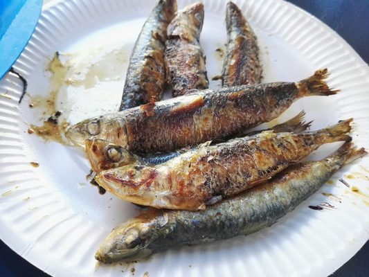 AU POISSON BLEU - 18 Photos - 10 rue Simon, Palavas les Flots, Hérault ...