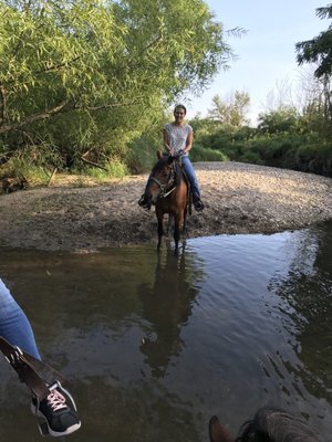 MILLBROOK TRAIL RIDES - 41 Photos & 24 Reviews - 8078 Whitfield Rd ...