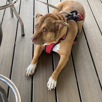 CLARKSVILLE’S 3RD BASE - Updated December 2025 - 46 Photos - 1032 S ...