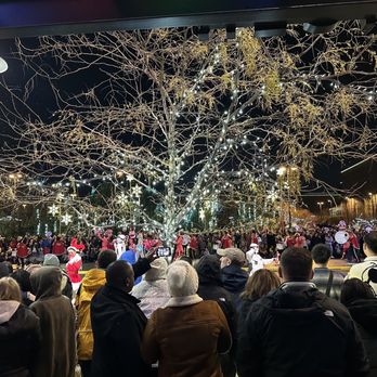 SNOWFLAKE LANE - Updated December 2025 - 606 Photos & 111 Reviews - 575 ...