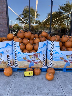 SAFEWAY - Updated July 2025 - 333 Photos & 250 Reviews - 2600 5th St ...