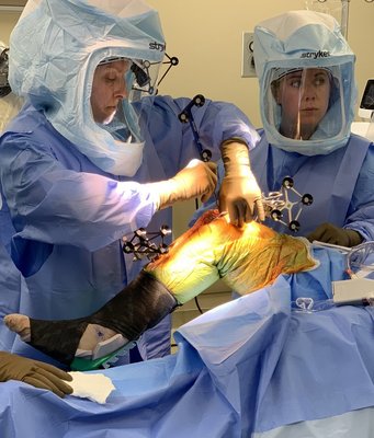 DANIELLE Y. PONZIO, MD - Updated December 2025 - 2500 English Creek Ave ...