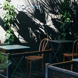 FIG TREE VENICE - Updated January 2025 - 1111 Photos & 682 Reviews ...