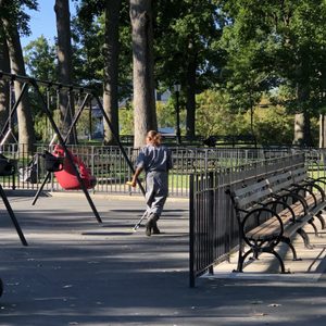 ALLEY POND ADVENTURE COURSE - 14 Photos & 11 Reviews - Alley Pond Park ...