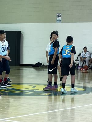 PAMELA PARK - Updated October 2025 - 16 Photos - 2236 Goodall Ave ...