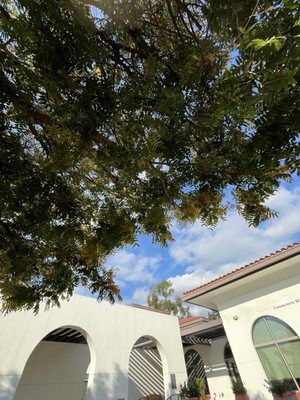 CROWELL PUBLIC LIBRARY - Updated December 2025 - 89 Photos & 109 ...