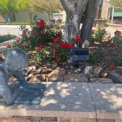 MISSION VIEJO LIBRARY - 112 Photos & 131 Reviews - 100 Civic Ctr ...