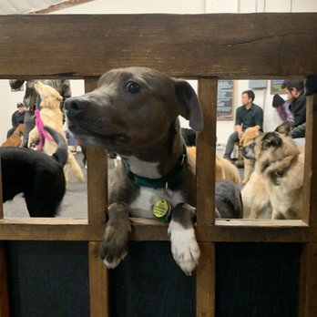 CYCLE DOG - Updated December 2025 - 50 Photos & 32 Reviews - 2056 NW ...