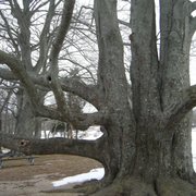 MCCOOK POINT BEACH AND PARK - 44 Photos & 10 Reviews - McCook Pl, East ...