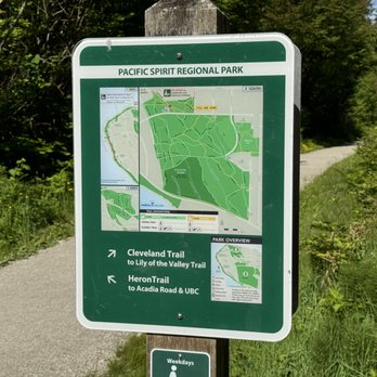 PACIFIC SPIRIT REGIONAL PARK - Updated December 2025 - 300 Photos & 52 ...